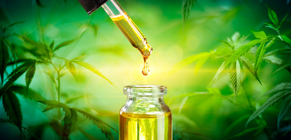 Why People Use CBD Oil: Benefits, Relief & Real User Insights – Natural ...